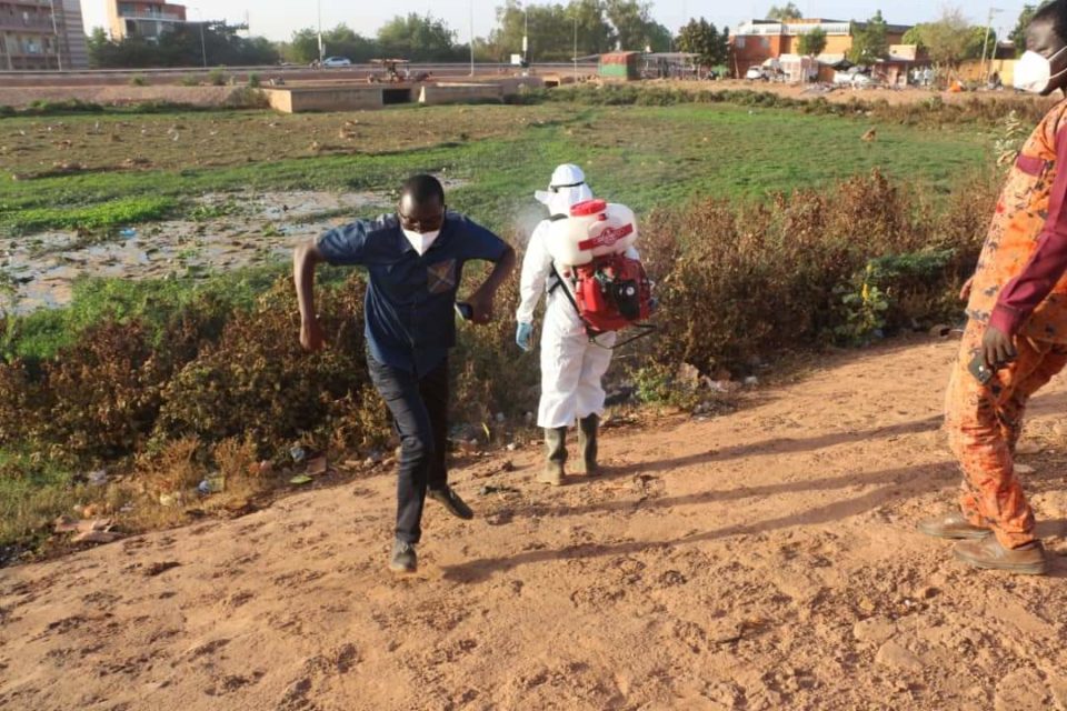 Lutte contre les maladies vectorielles : Le ministère de la Santé et de ...